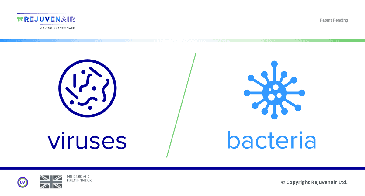 Viruses and bacteria. Do you know the difference? | Rejuvenair